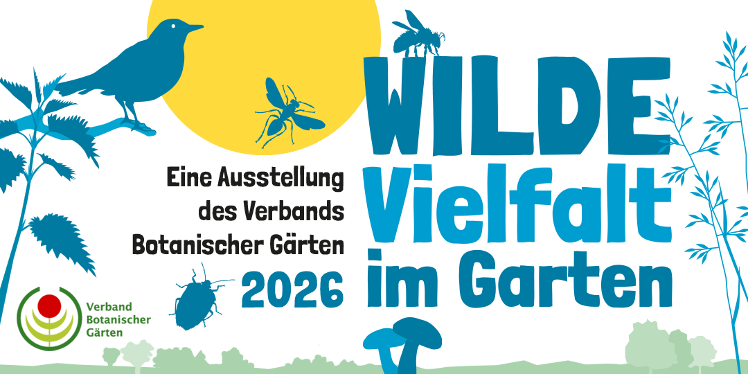 Wilde Vielfalt im Garten |Sommerfest mit Ausstellungseröffnung im ...